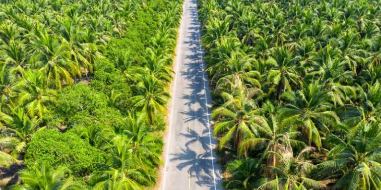 Farm Land for Sale in Bangalore: The Corridor-by-Corridor Pricing Guide ...