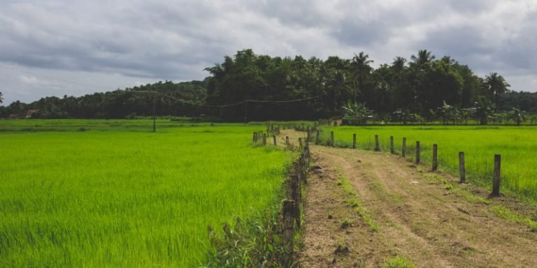 Affordable Farm Plots for Sale Near Bangalore 2025