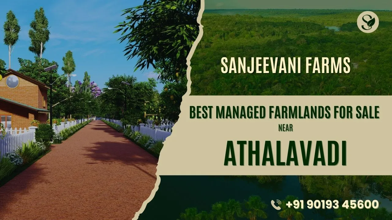 Best Managed Farmlands For Sale Near Athalavadi